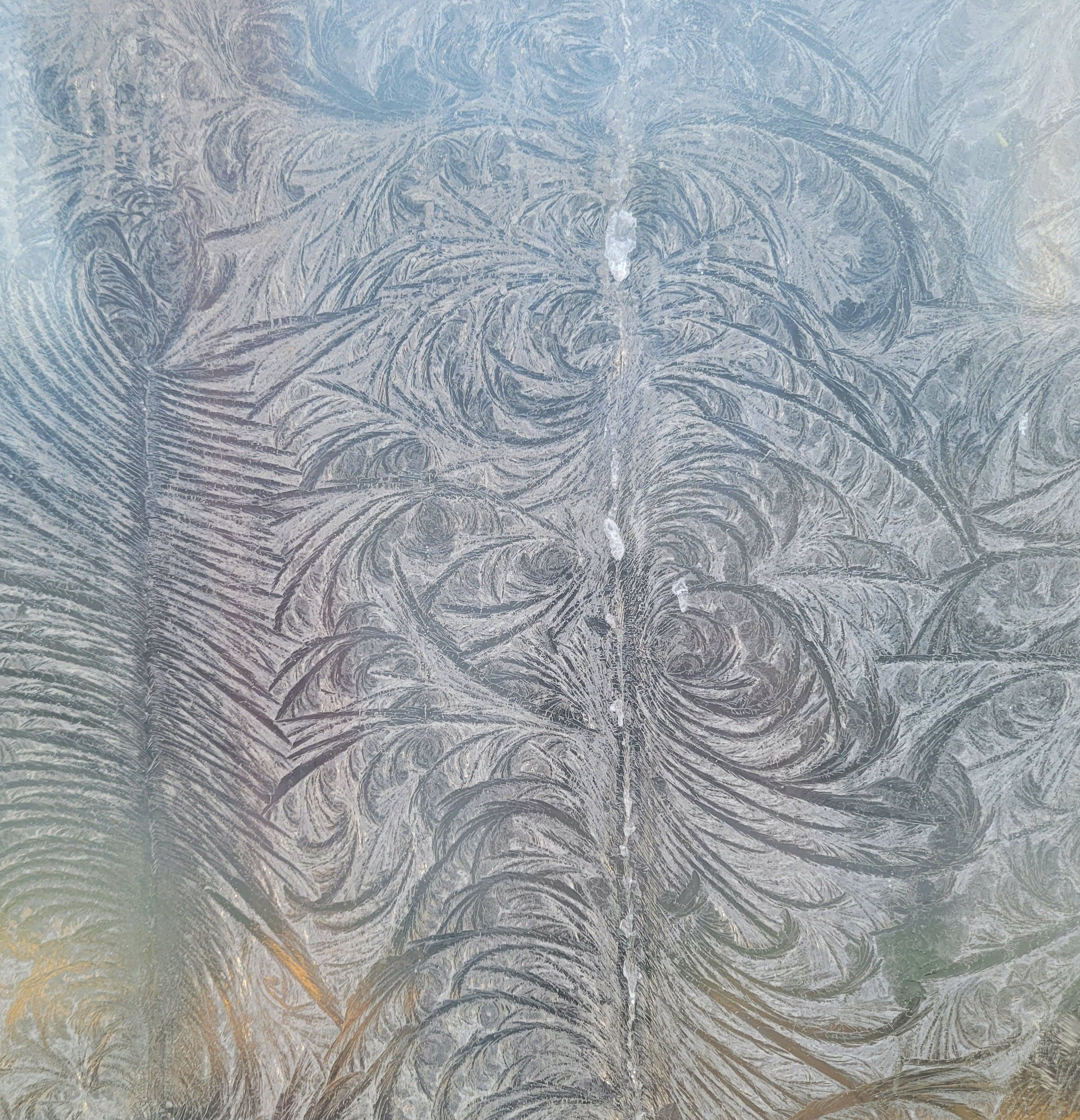 ICE - by Janice Anne Wheeler - SPARRING WITH MOTHER NATURE