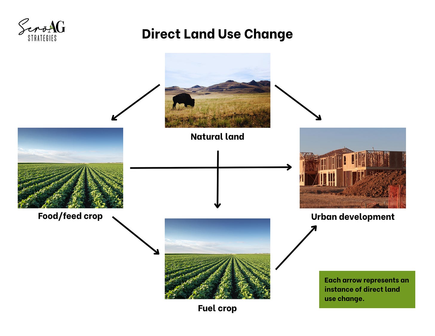 Indirect Land Use Change: The Theory that Became Law
