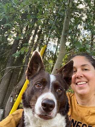 Stephen Pao (@spao): "I turned my metrics Substack post into a video ...