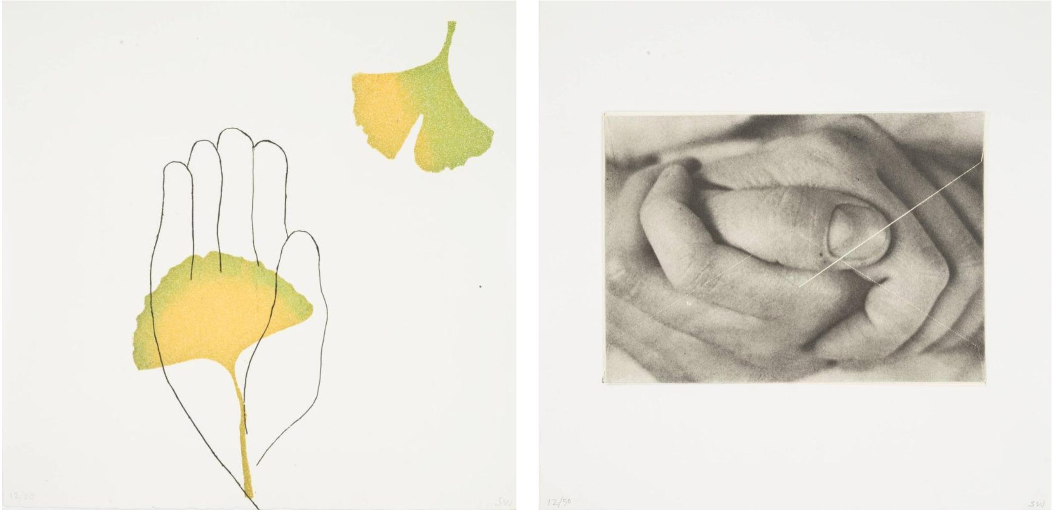 Q&A: Lou Stoppard on Susan Weil - by Katy Hessel