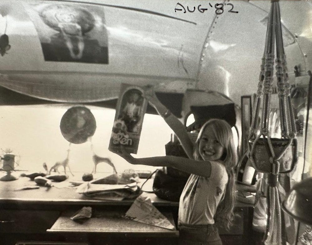 My Year of School Bus Life - by Arwynne O'Neill - Ms. Pink