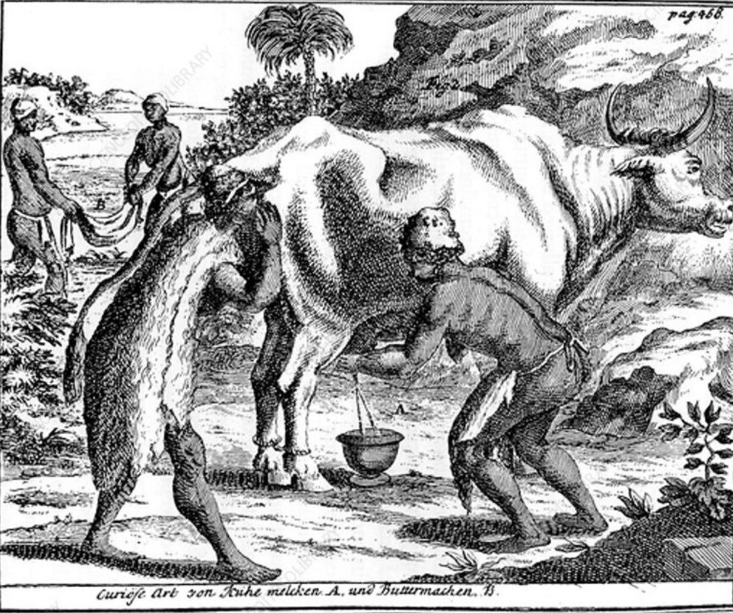 Doll the Milk Woman: Labor, Skill, and Resistance in Colonial ...