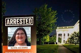 A New Perspective | Olivia Julianna | Substack