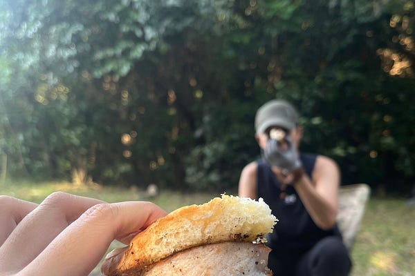 Denise Ho - 何韻詩 | Hocc | Substack