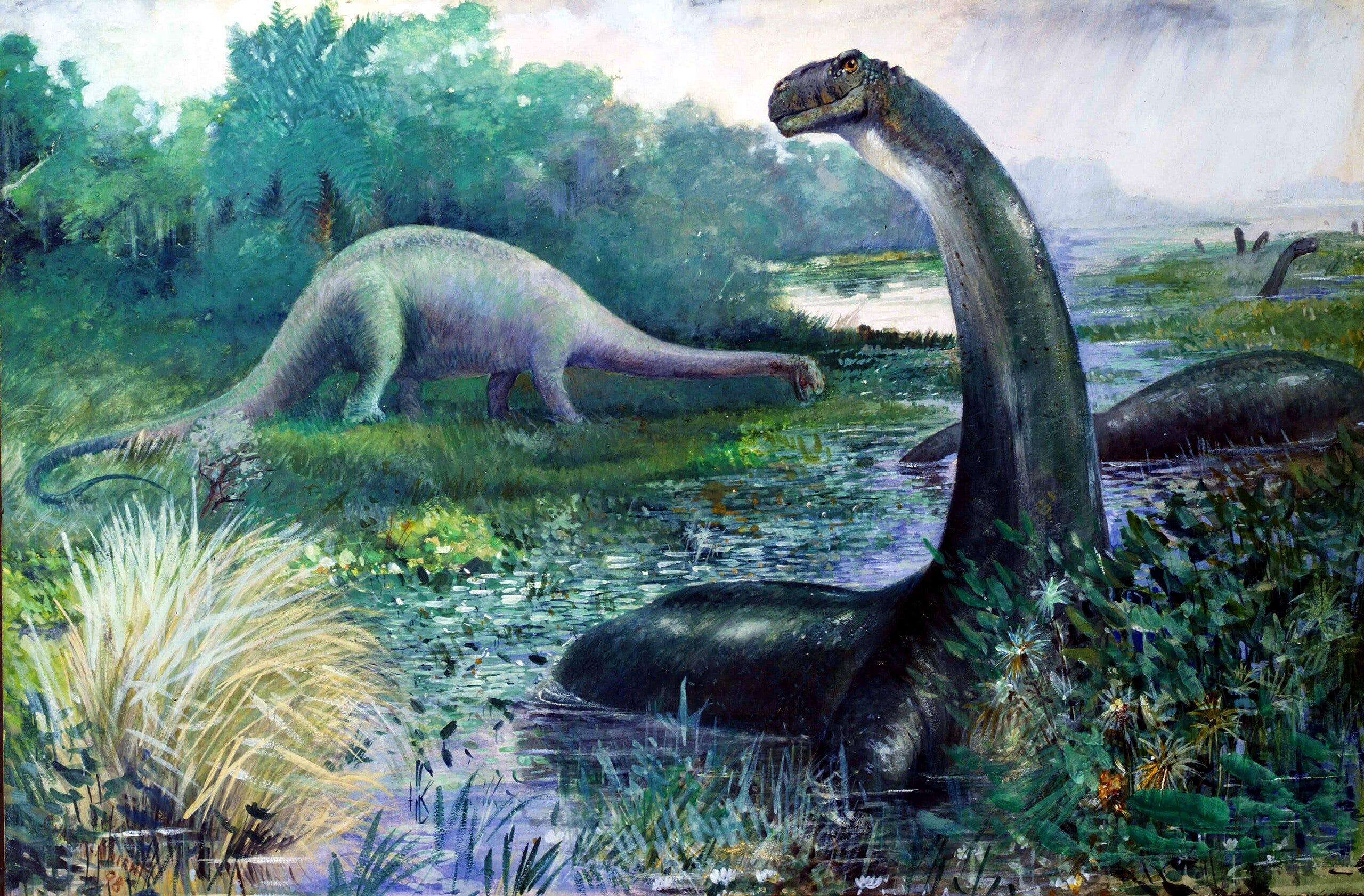 Word of the week: Brontosaurus - by Josh Gohlke