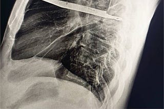 Dave Barry’s Substack | Substack