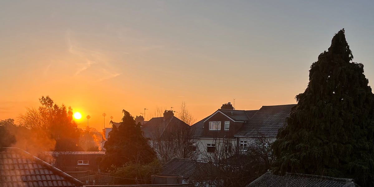 Week 1 - by Lia Leendertz - Lia’s Living Almanac