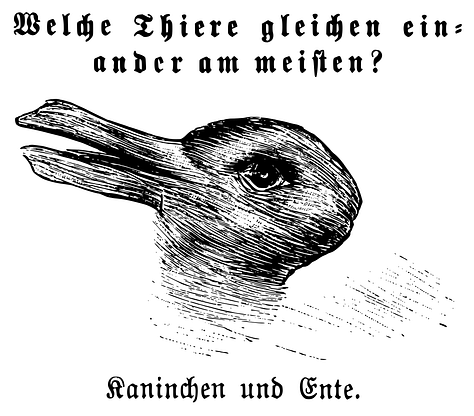 Duck-Rabbit Illusion - by Remo Giuffré - REMORANDOM