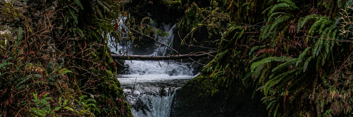 Javier Velazquez | Substack