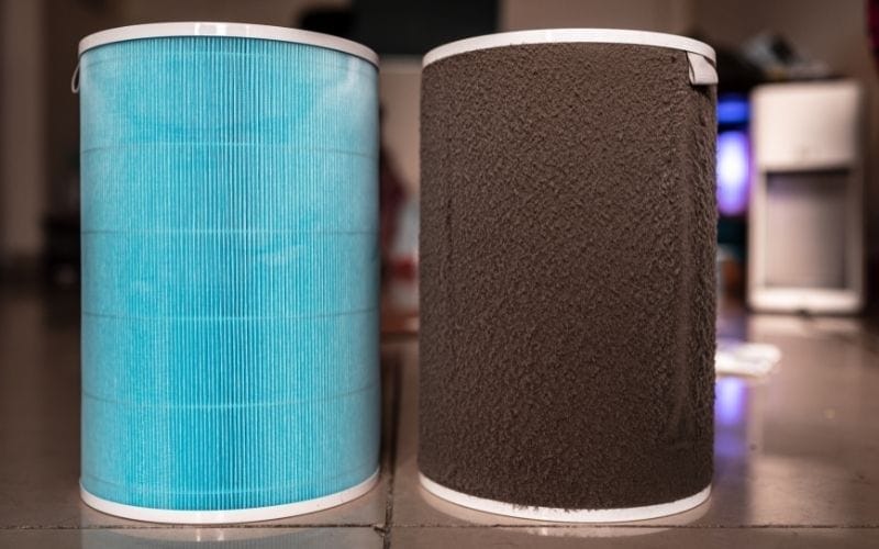 7 Places to Put an Air Purifier for Mold Filtering in Your Home