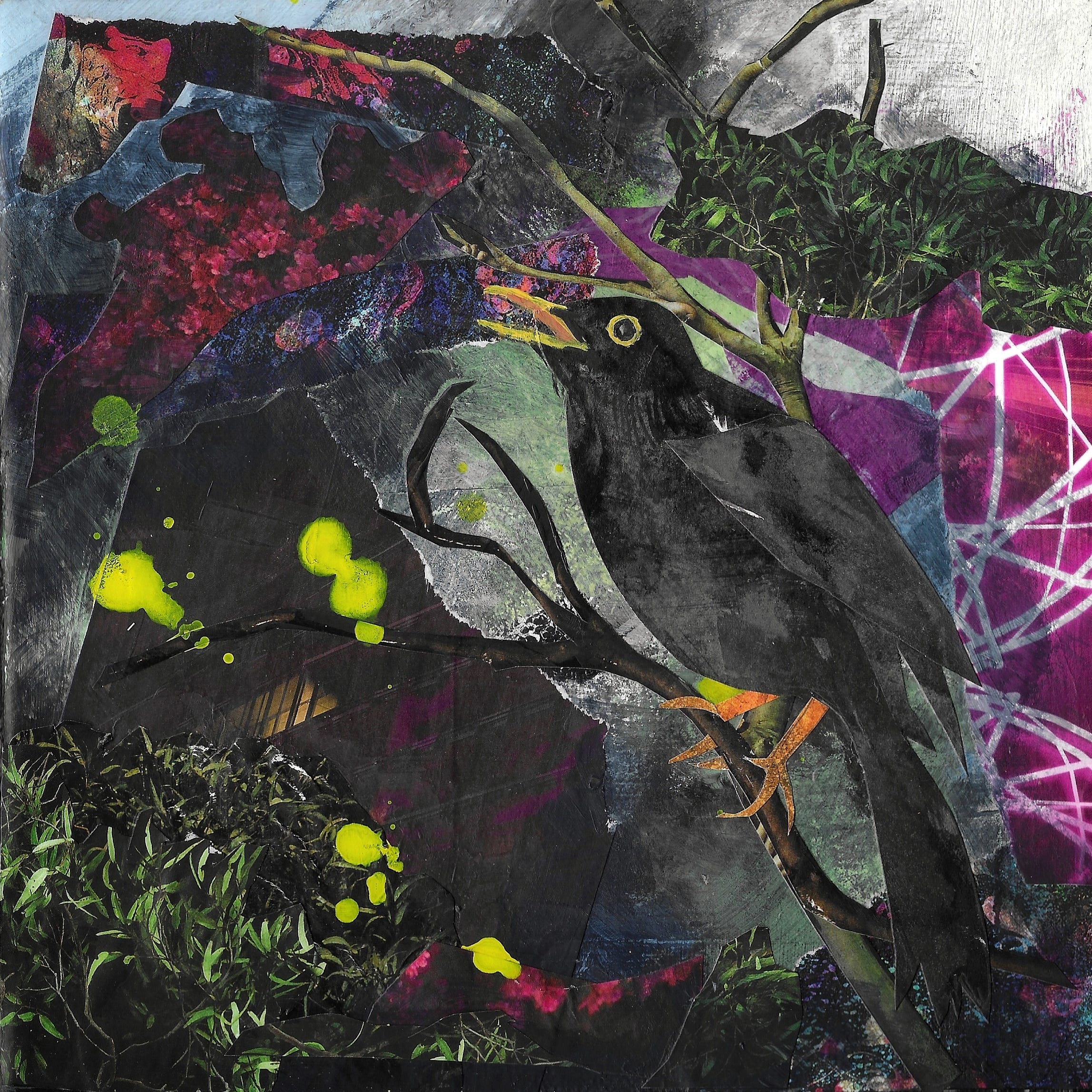 The Art of Dissolving - bimblings by Josie George