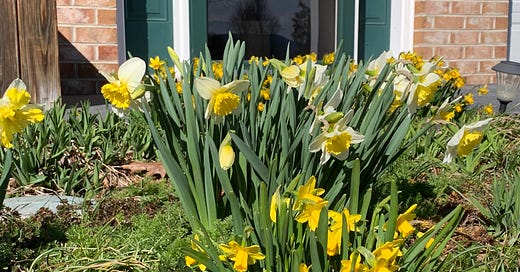 Beth Biss' Connection Corner | Substack