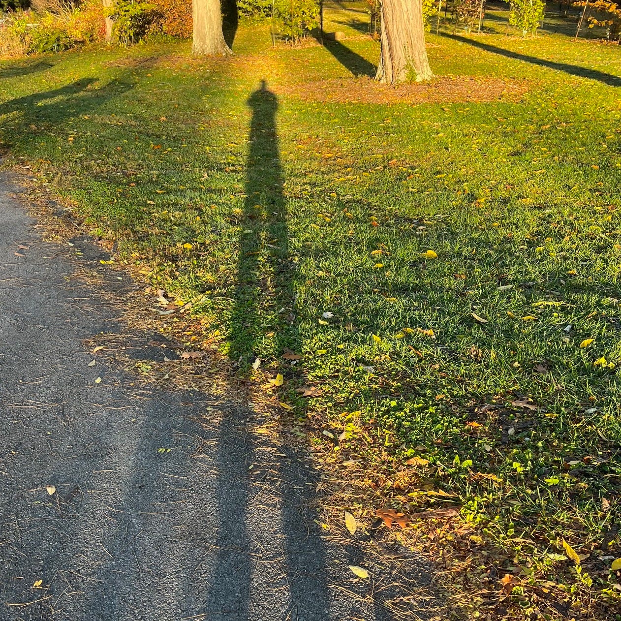The Vast Differences Between New-Age, Occult, Gnostic, and Mystic ...