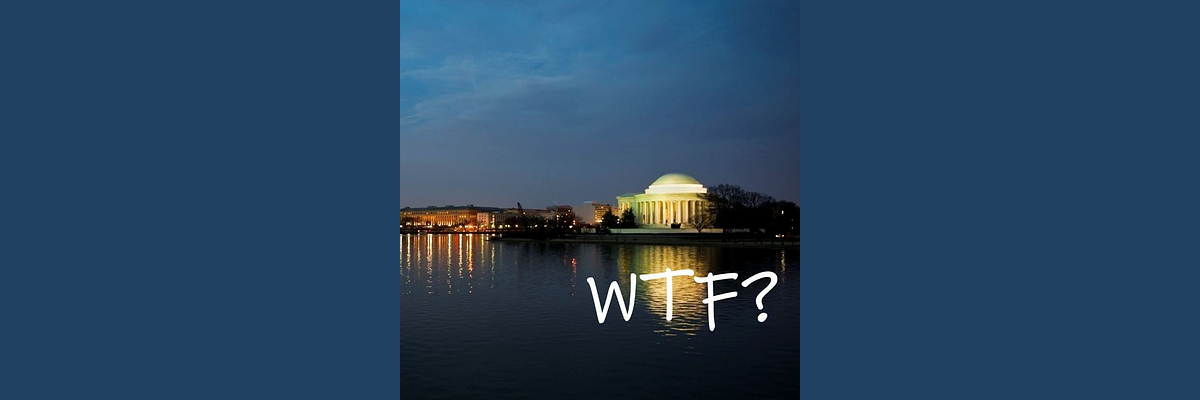 ROBIN SNYDER'S NOTES ON WTF? | Substack
