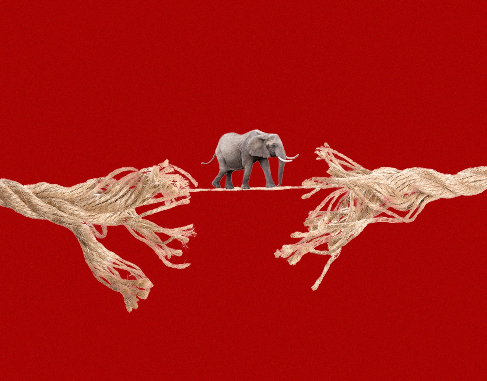 Breaking Points - by Amanda Carpenter - The Bulwark