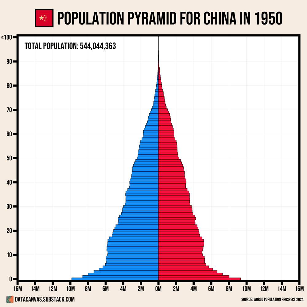 Echoes in the Pyramid: China’s Demographic Story