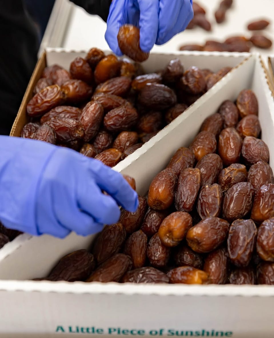 What’s on my counter: Dates - by Lesley Sykes