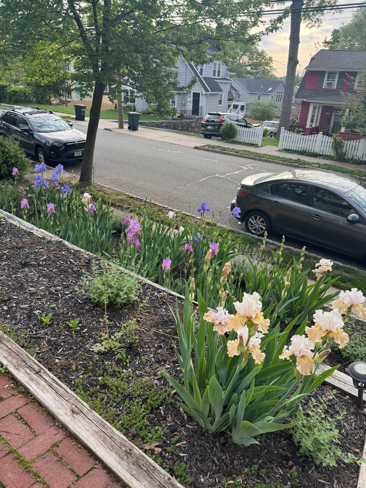 Why Niching Down Doesn't Work for Me - by Alexandra Matteo