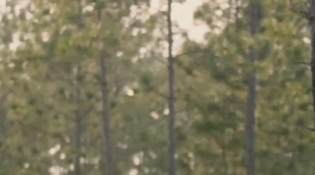 Vale Final - by Sagran Carvalho - Sagran’s Substack