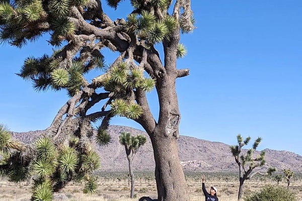 Meet me at the Throughline with Simone Johnson | Substack