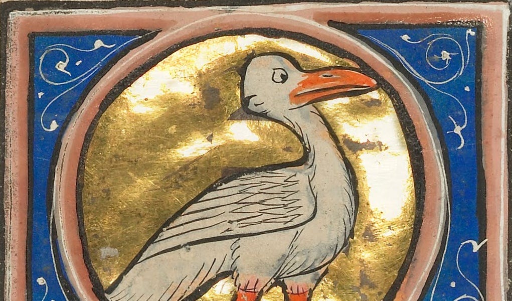 Two Medieval Monks Draw Some Birds - by Daniel Lavery
