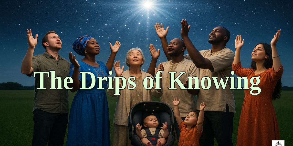 The Drips of Knowing - The Cosmic Onion