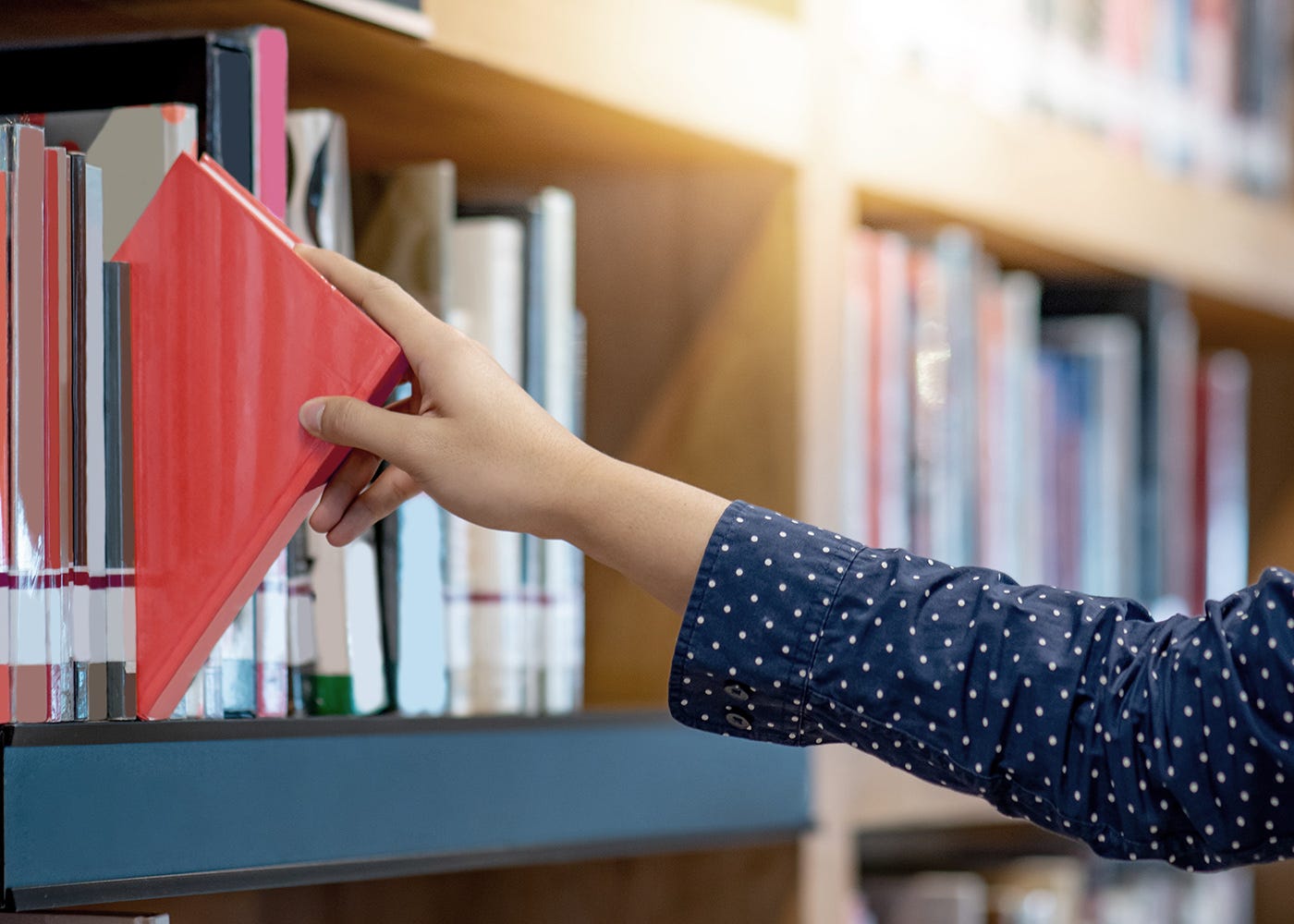 Mozart's Brain And The Fighter Pilot