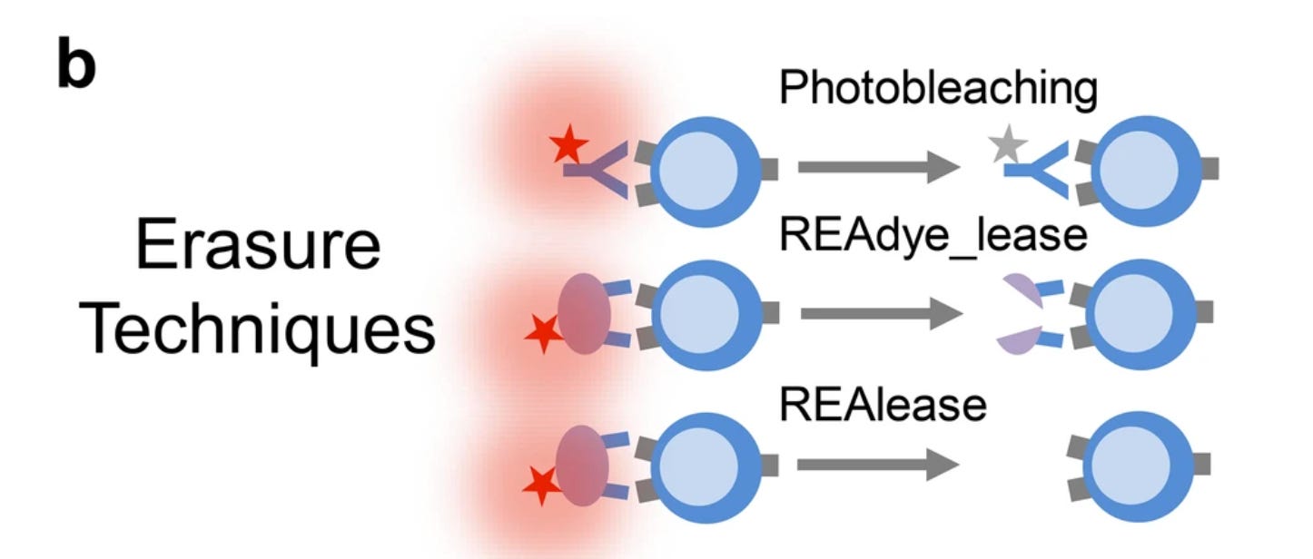 MACSima™, the spatial biology platform from Miltenyi Biotec