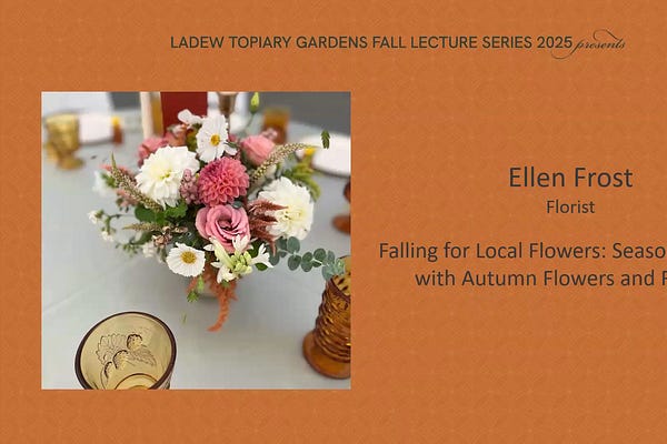 FlowerNerd | Ellen Frost | Substack