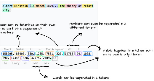 How LLMs Learn: From Tokens to Training