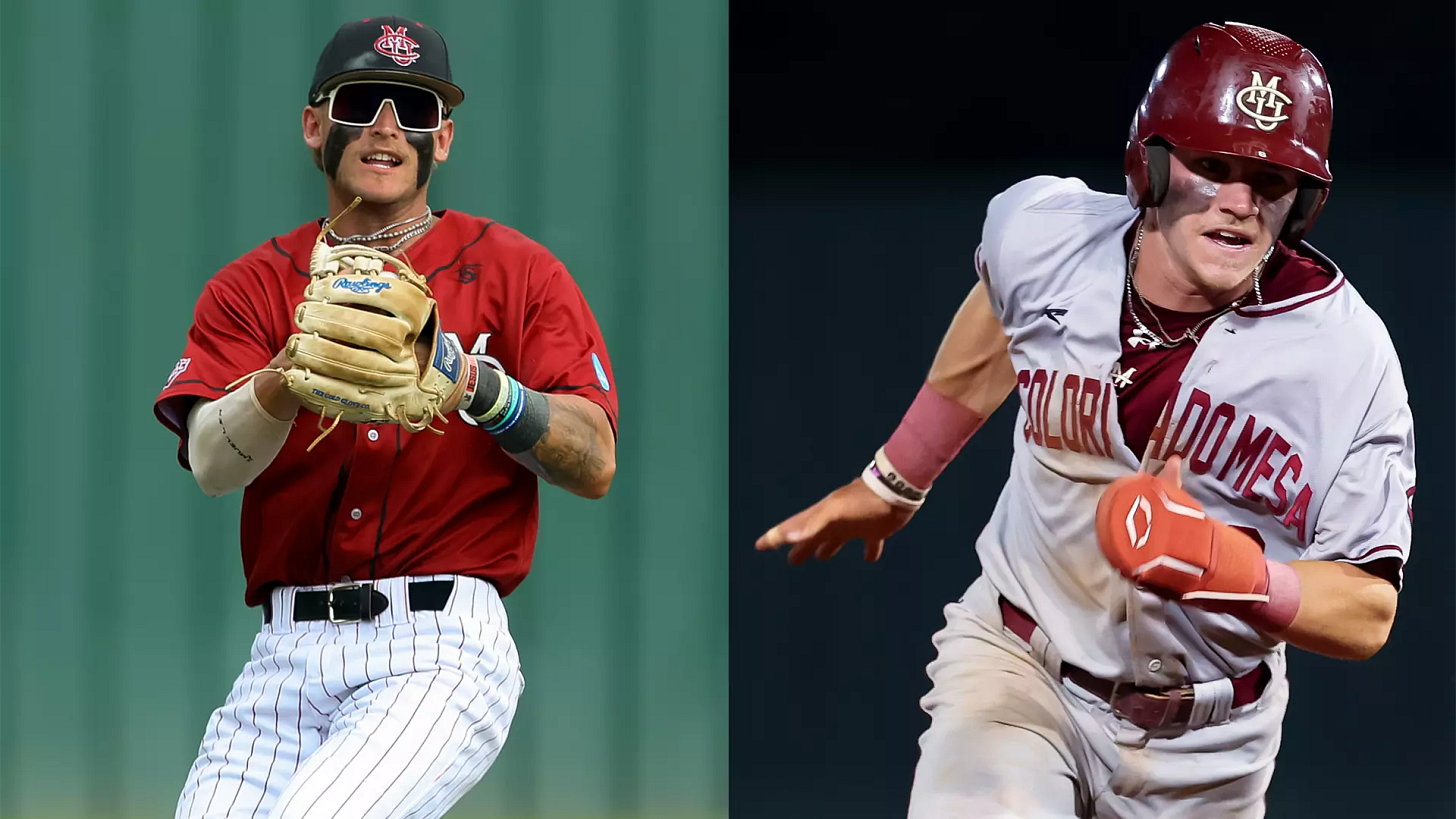 D2 Baseball Player Rates & Ranks Report