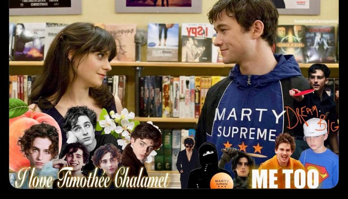 marty supreme is another movie for straight white men