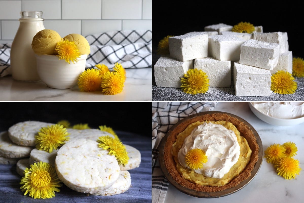 Dandelion Recipes & Remedies - by Ashley Adamant