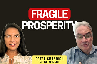 Collapse Life | Substack