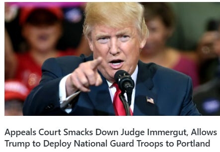 CIVIL WAR? Trump Administration to Establish “National Guard Response ...