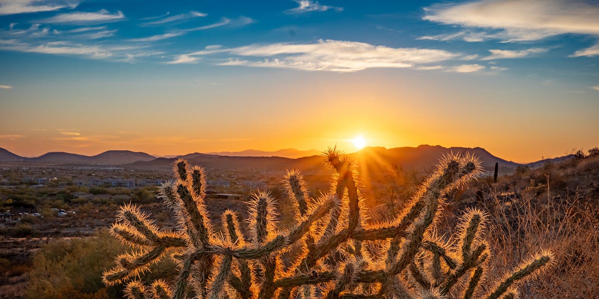 How I Transformed Amazon's Internal Transfer Process