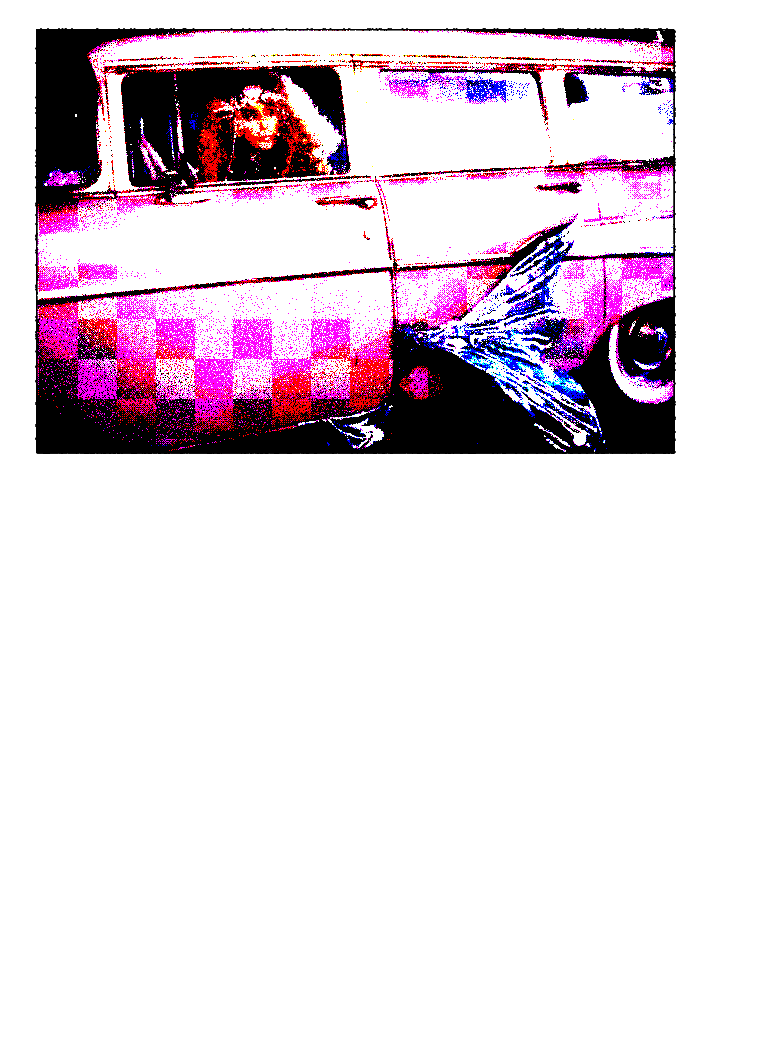 A Certain Kind of Sizing - The Queer Gaze