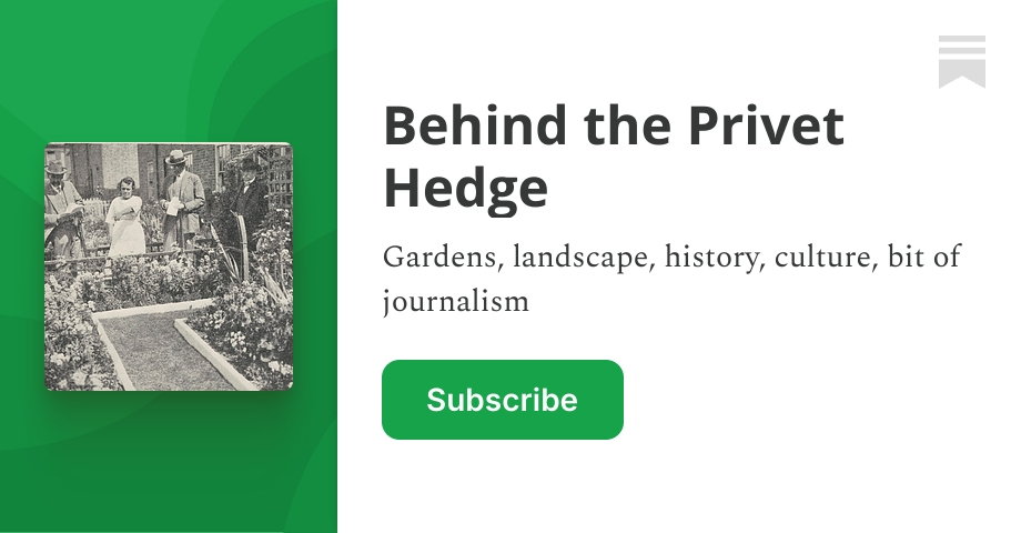 Behind the Privet Hedge | Michael Gilson | Substack