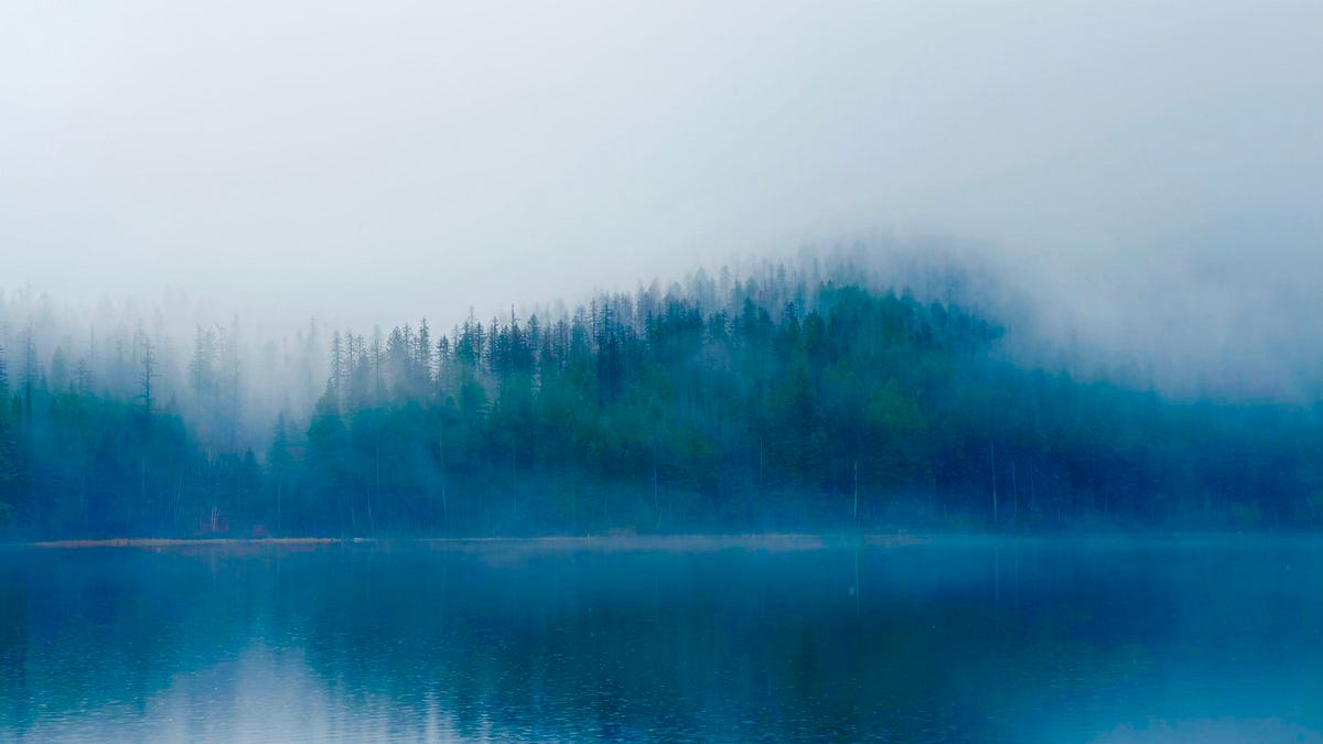 The Gathering (December 2025) - The Light Seeker