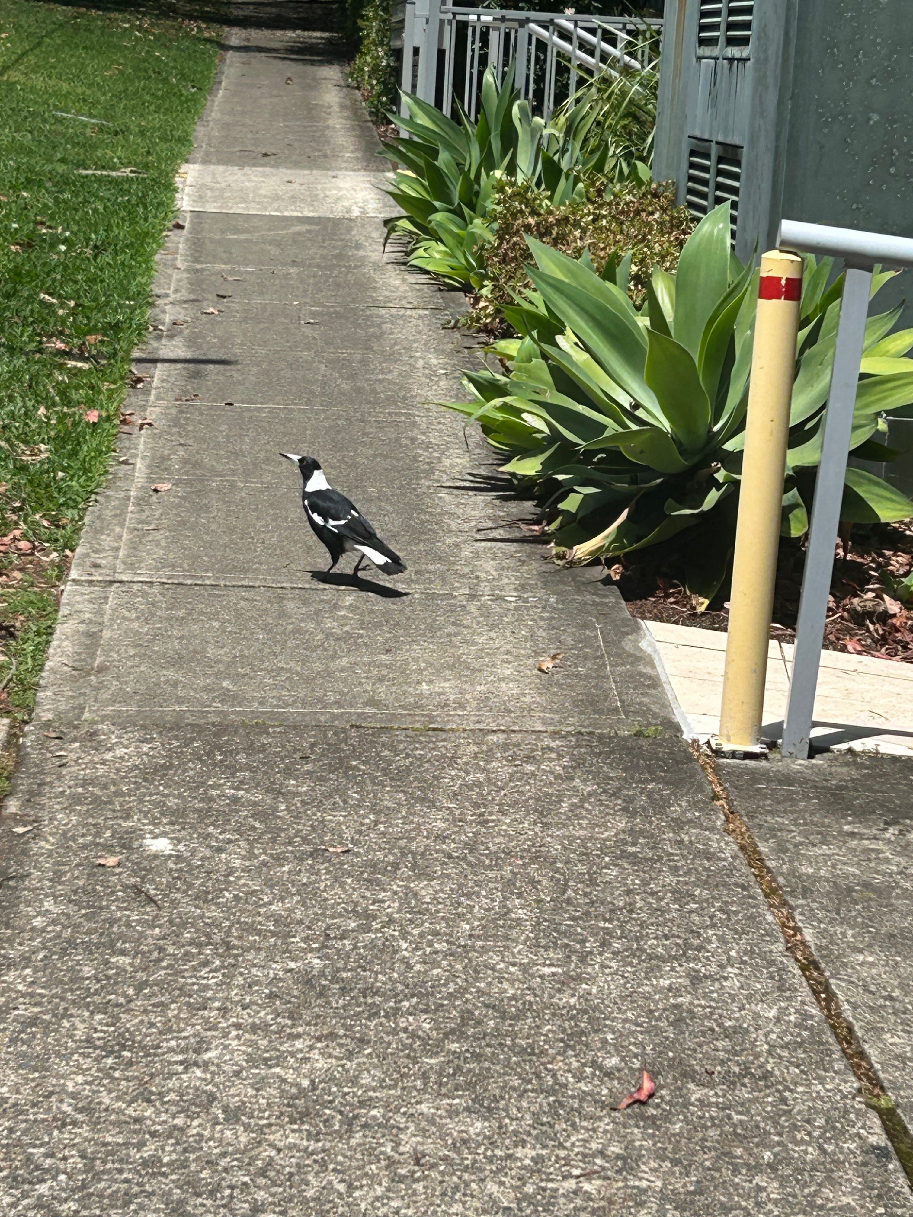 Charlotte Balladine (@charlotteballadine): "Daily Orison (A Series) … 9 ...