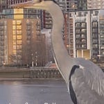 polly clark substack