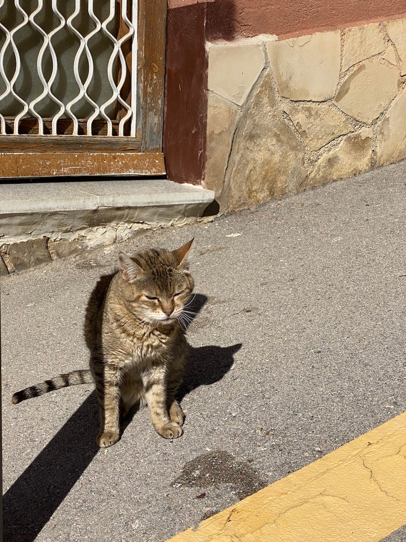 TOO MUCH - by Satu Adam - Satu’s Substack