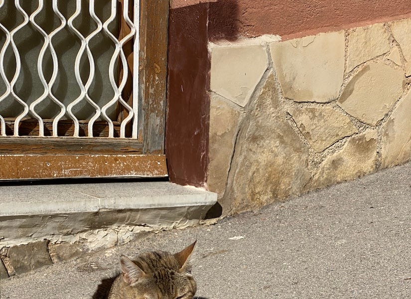 TOO MUCH - by Satu Adam - Satu’s Substack