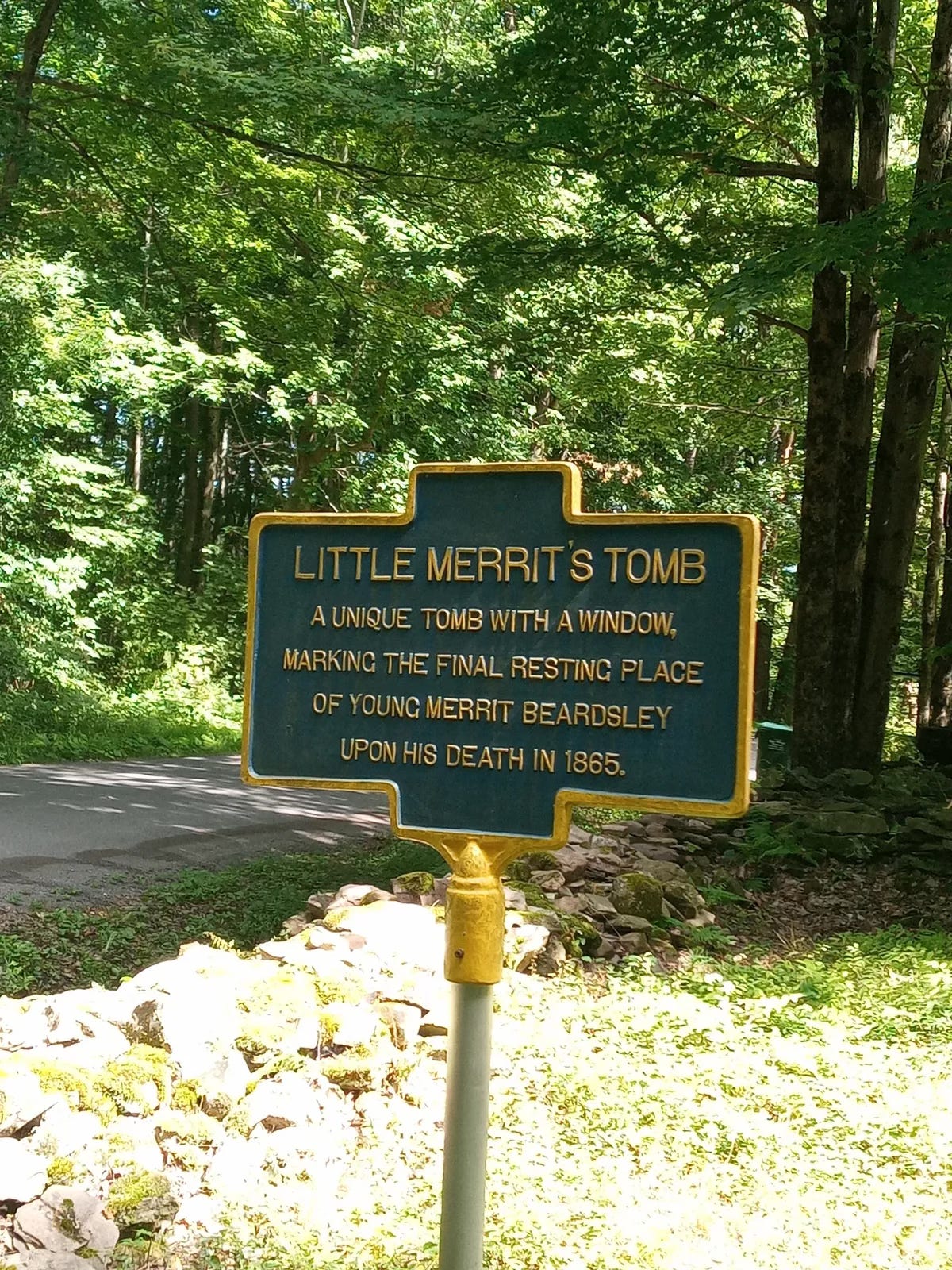 A Window of Light: The Story of Little Merrit Beardsley