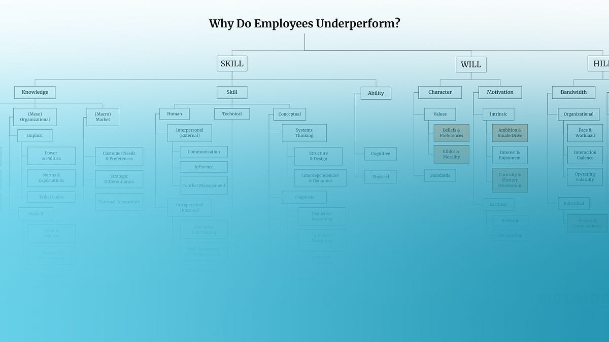 Why Do Employees Underperform? - by Jake Tuber - Work Wise