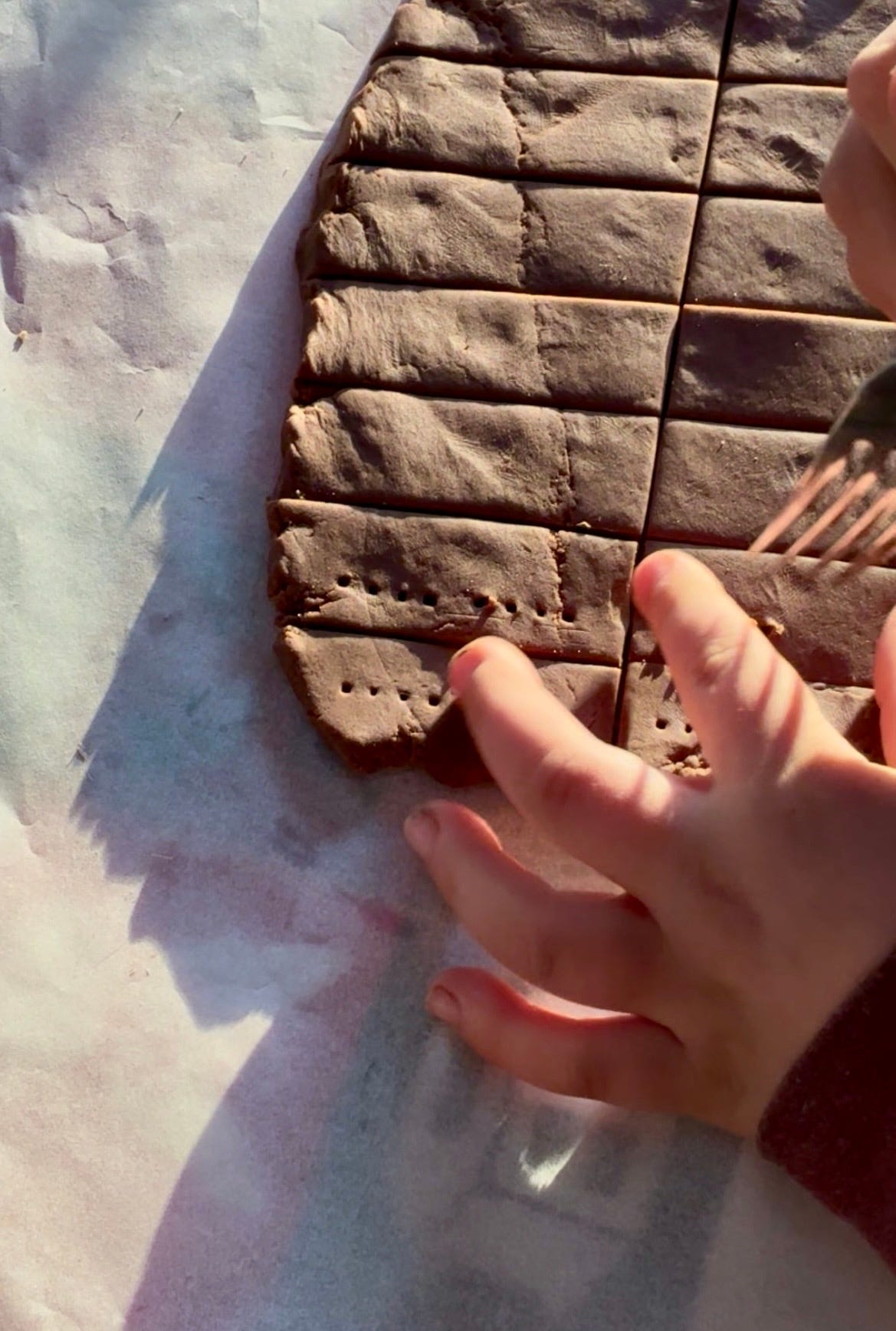 cookie advent: chocolate chestnut shortbread