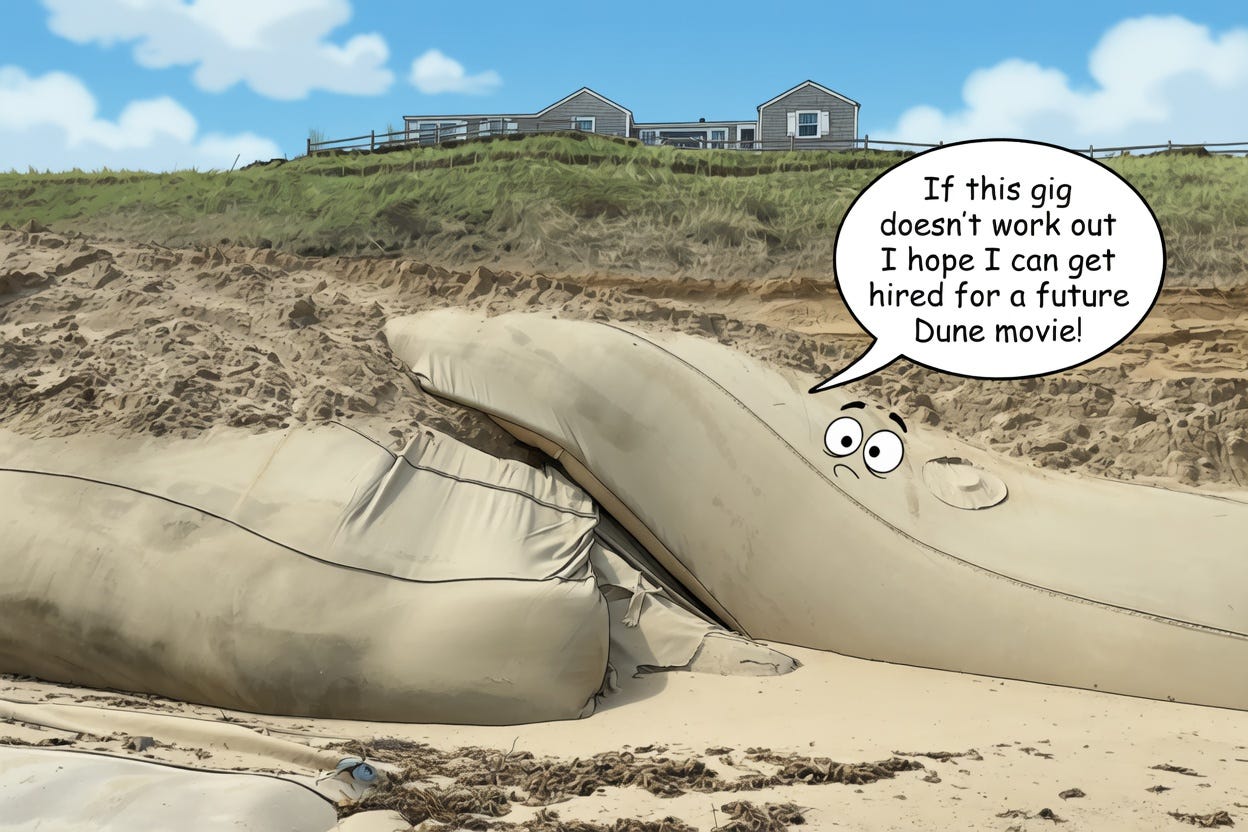 Erosion: The Great Terrain Robbery - by Jay Janney