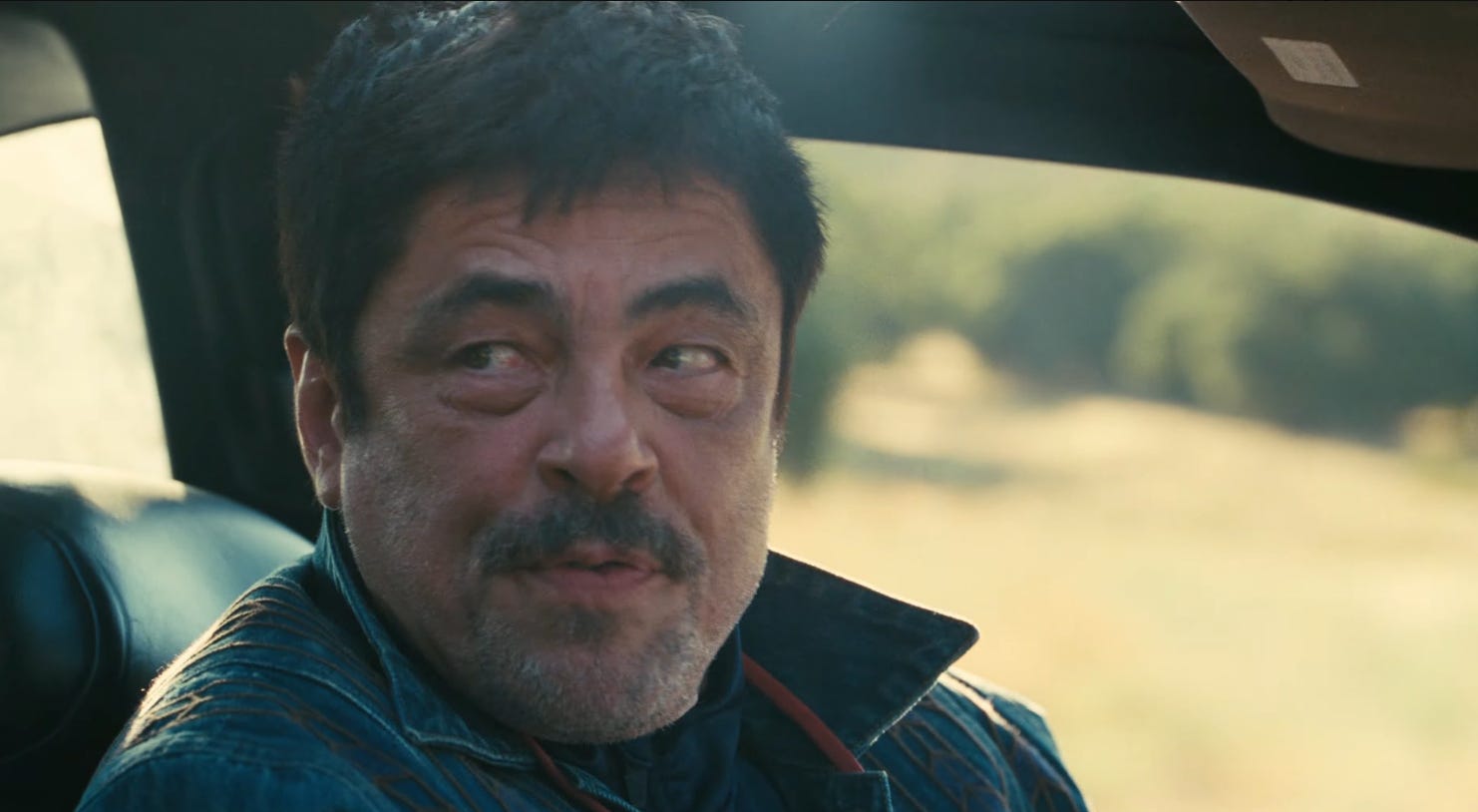 CASE STUDIES - What Benecio Del Toro taught us in "One Battle After ...