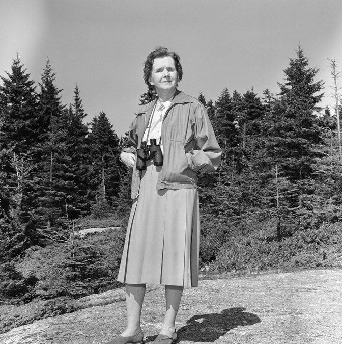 Rachel Carson: The Catalyst of the Modern Environmental Movement