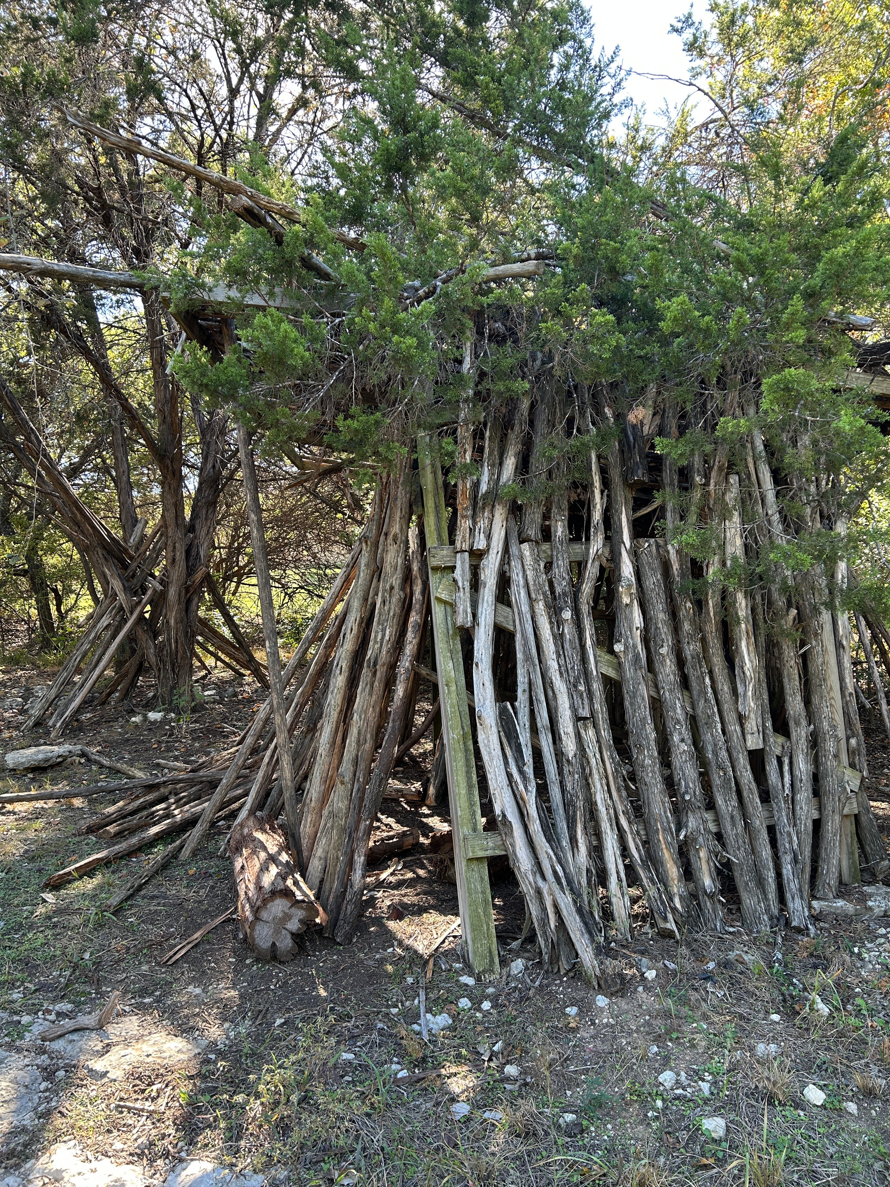 Build Your Own Fort - by Dan D. - Third Harmonic